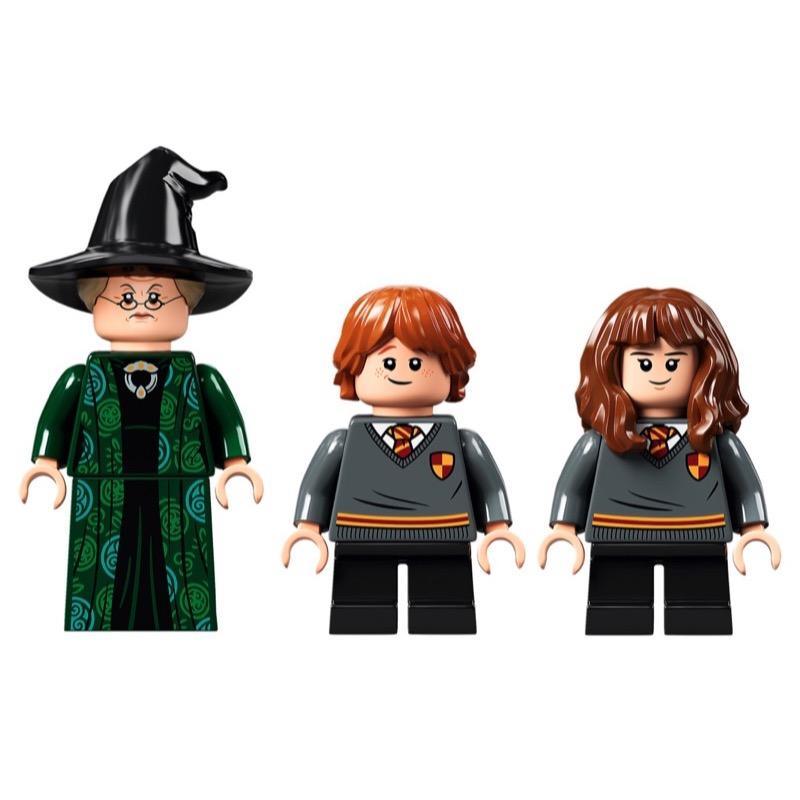 LEGO 76382 Harry Potter Hogwarts Moment: Transfiguration Class – Hobby Hero